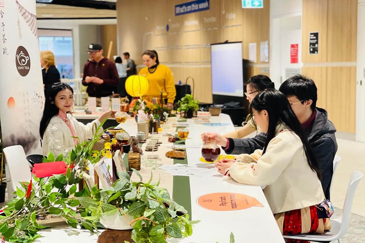 Traditional Chinese Culture Association - Activate UTS