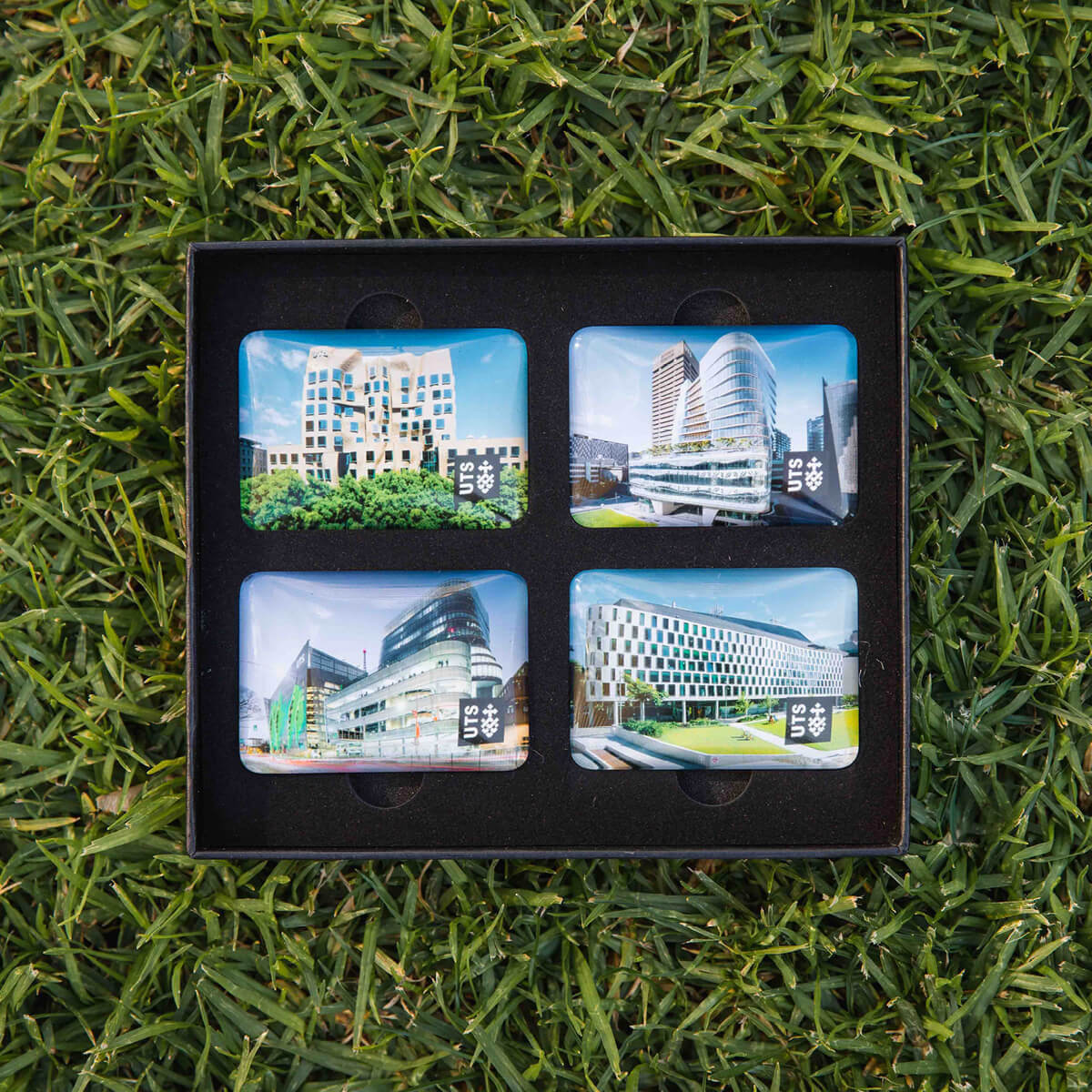 UTS Boxed Magnets - Activate UTS