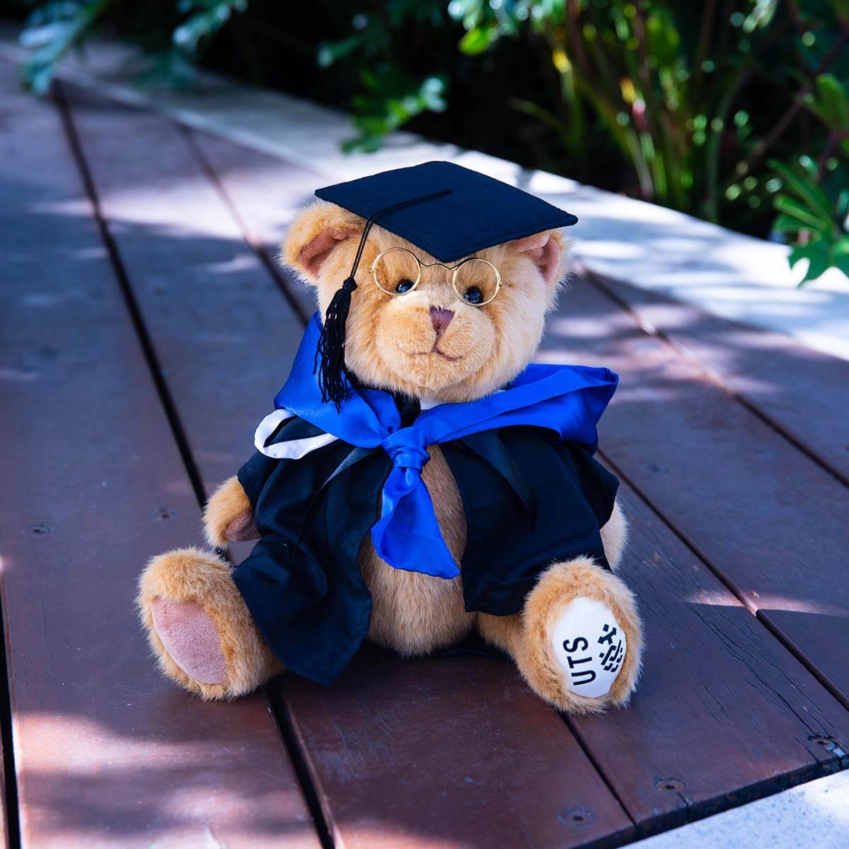 UTS Goldie Bear with Graduation Hood - Activate UTS