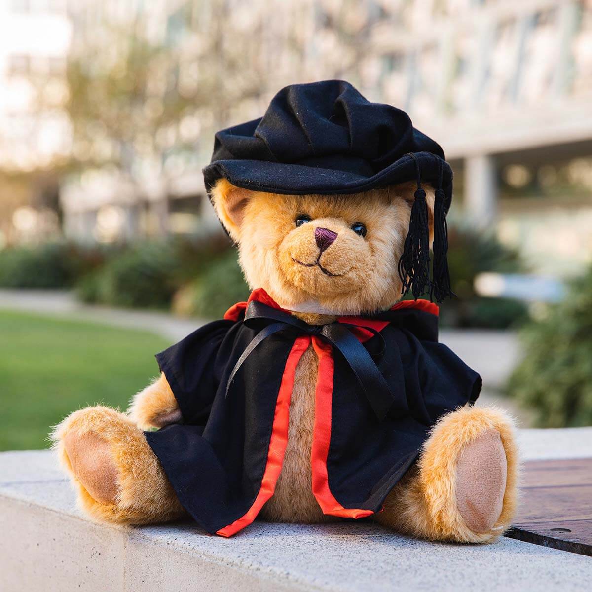 UTS Graduation PHD bear - Activate UTS