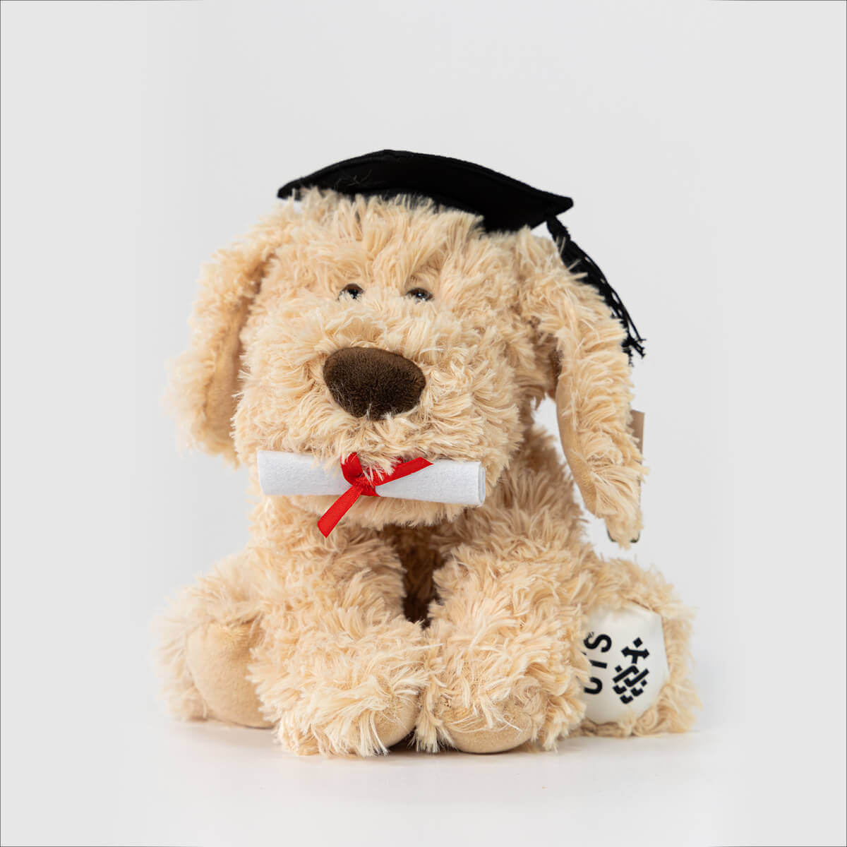 Graduation Dog - Activate UTS