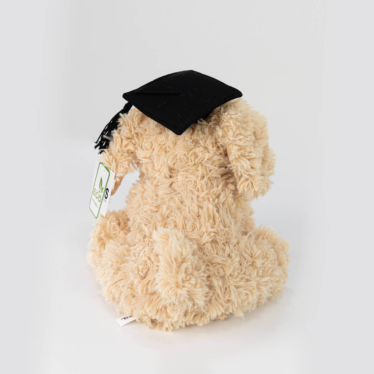 Graduation Dog - Activate UTS