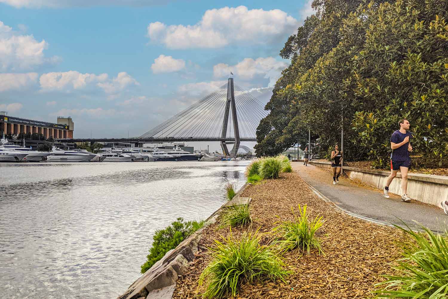 Discover Sydney Spring 2025 - Activate UTS