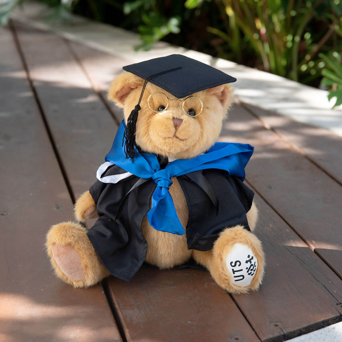 UTS Goldie Bear with Graduation Hood - Activate UTS