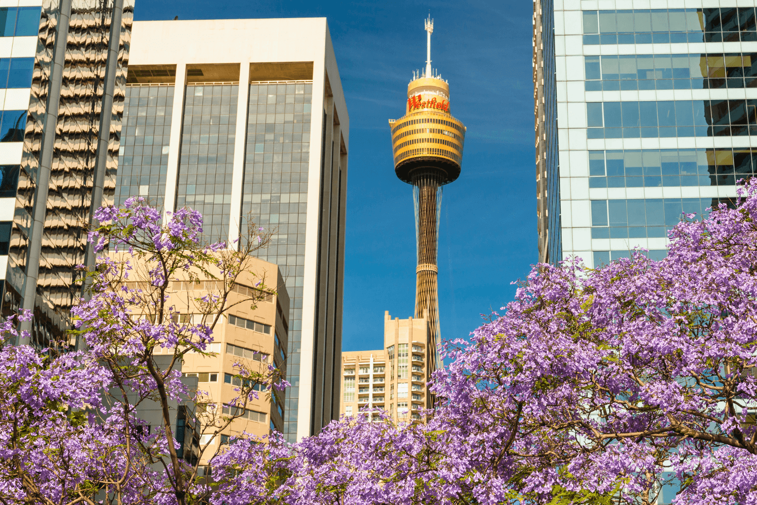 What's on - Activate UTS