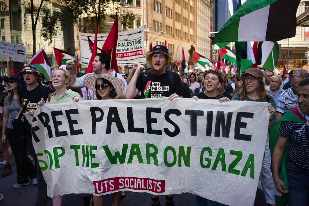 Socialists - Activate UTS