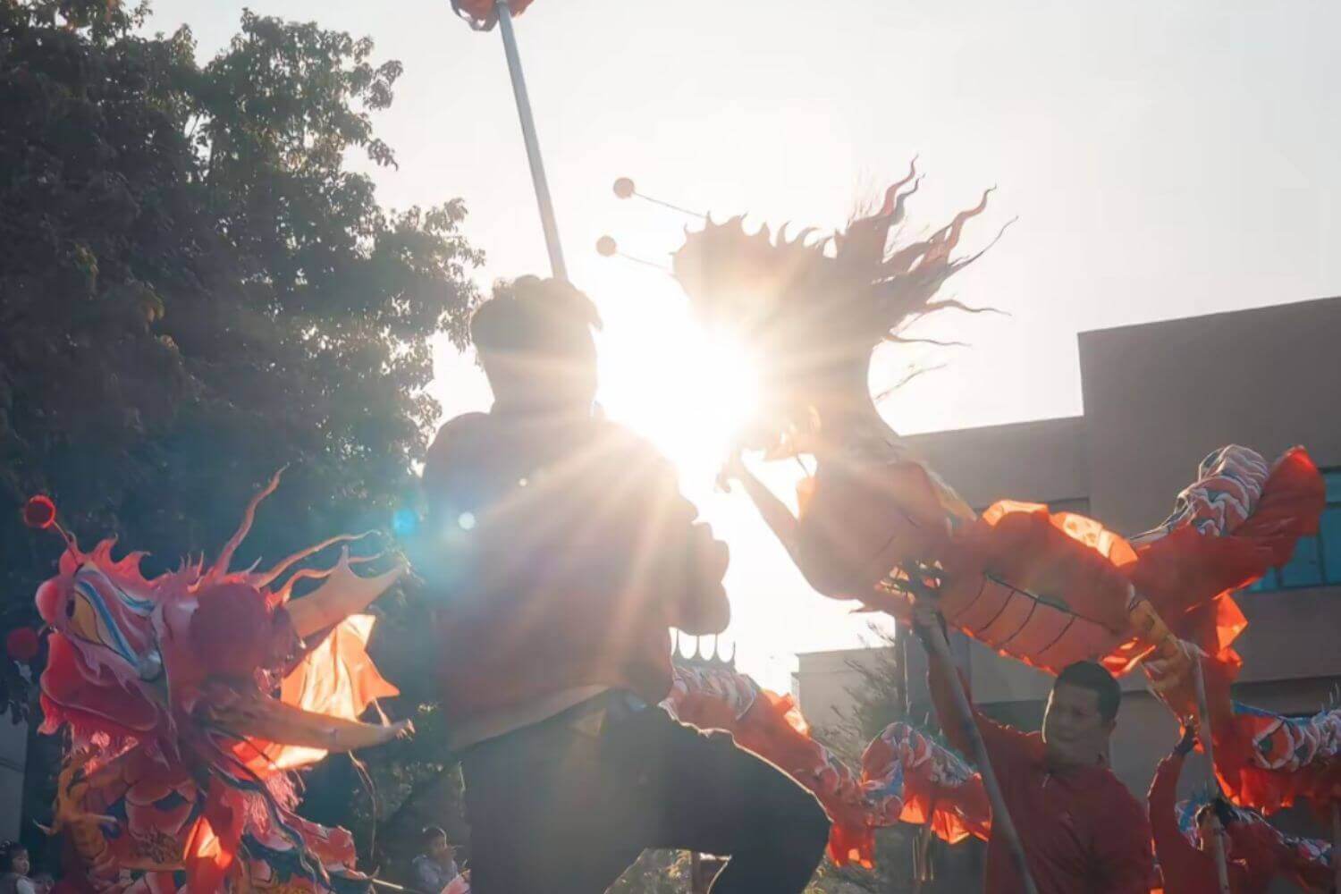 Clubs - Activate UTS