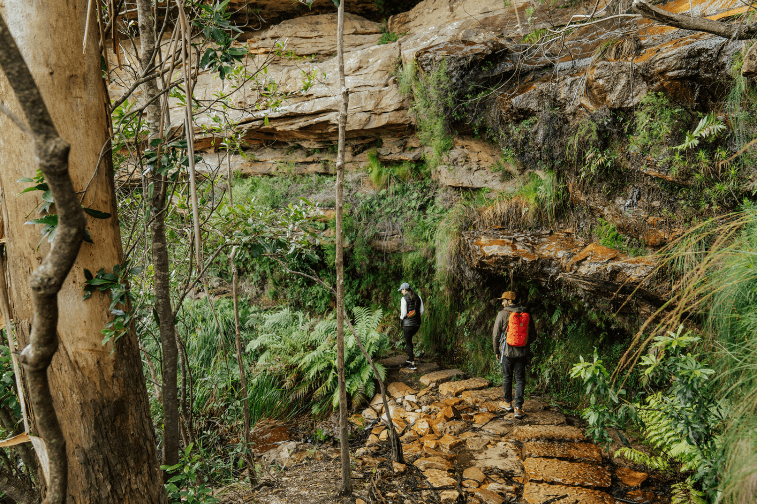 Discover Sydney Summer Session: Blue Mountains Waterfall - Activate UTS